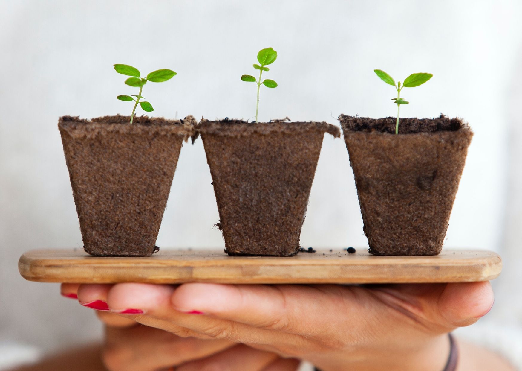 7 Steps to Becoming a Growth-Focused Leader - McClure Coaching